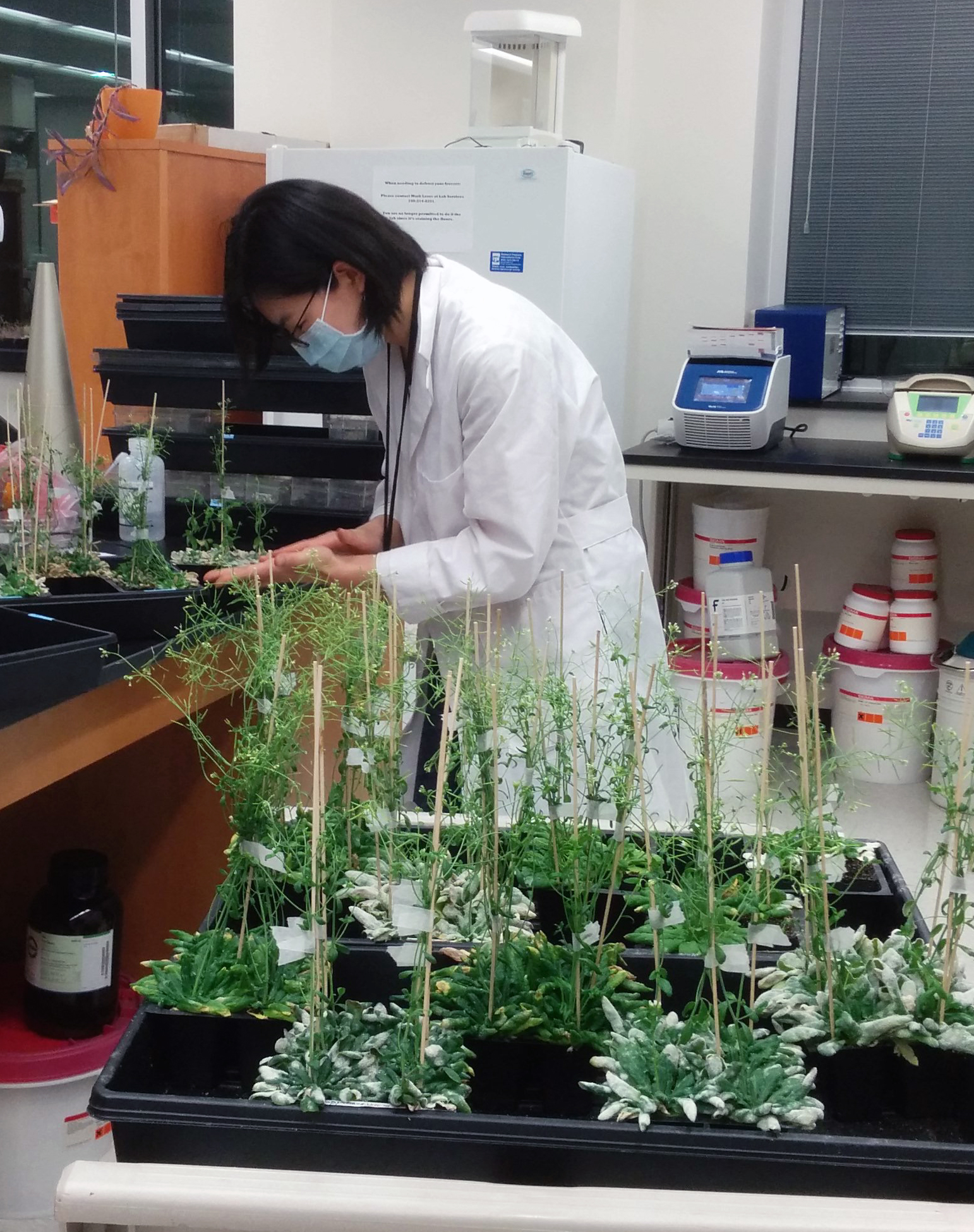 Congratulations to Dr. Qiong Zhang, Recipient of the UC Berkeley Miller Research Fellowship ...